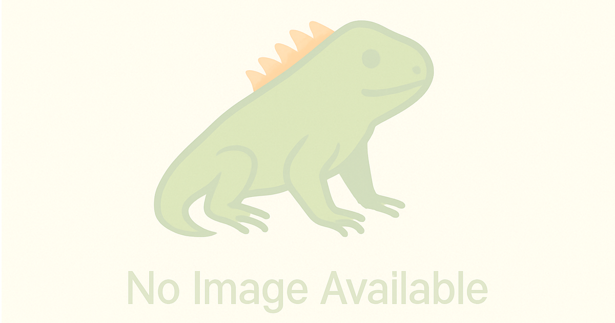 What Does Iguana Taste Like? A Complete Guide | IguanaRecipes Blog ...